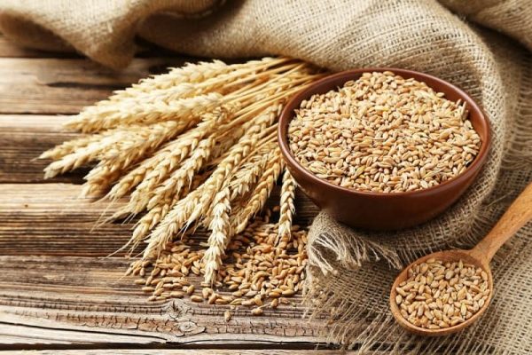 Benefits of Eating Wheat - Healthunbox