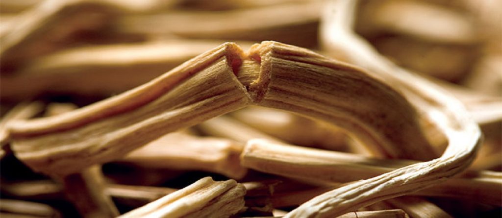 Top 5 Herbs Which Increase Sexual Strength Naturally Healthunbox 1485