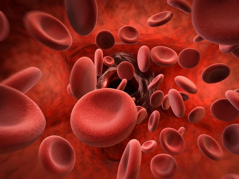 Correlation Between Dengue And Platelets - Healthunbox