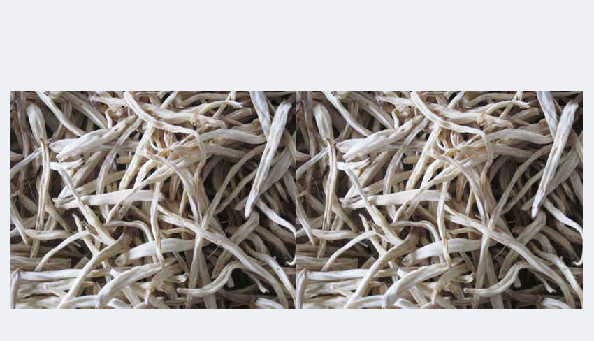 White Musli Benefits For Sex Related Problems - healthunbox