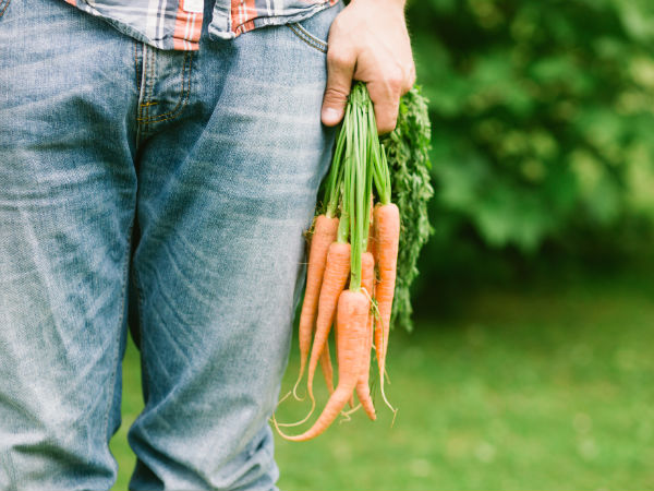 Carrot benefits for diabetes health, skin and diseases - healthunbox