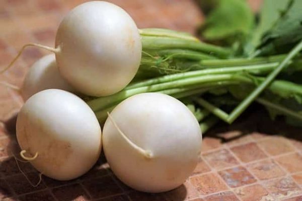 शलजम के फायदे और नुकसान - Turnip (Shalgam) Benefits and Side Effects in ...