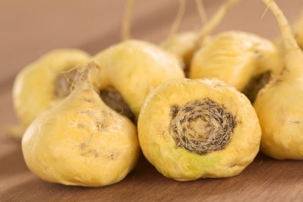 माका रूट के फायदे और नुकसान - Maca Root Benefits and Side Effects In Hindi