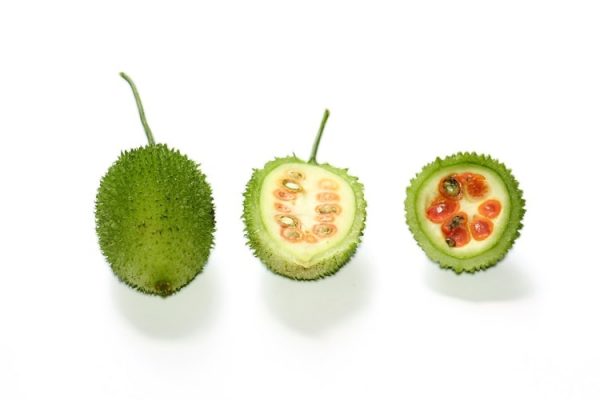 ककोरा के फायदे और नुकसान - Kakora (spiny gourd) ke fayde aur Nuksan in ...