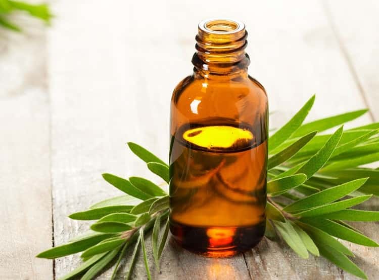 बालतोड़ के लक्षण, कारण और घरेलू इलाज - Baltod (Boils) Home Remedies in ...