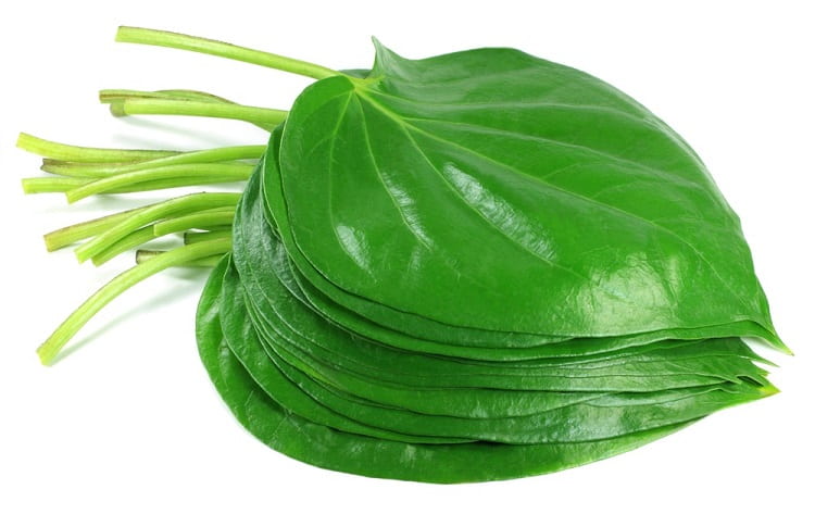 पान के पत्‍ते के फायदे और नुकसान - Betel Leaf Benefits And Side Effects ...